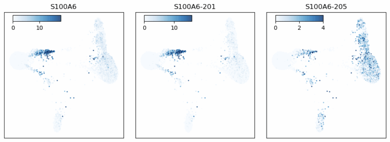 Single-Cell Isoform Sequencing of Fluent Libraries with MAS-seq - Broad Clinical Labs