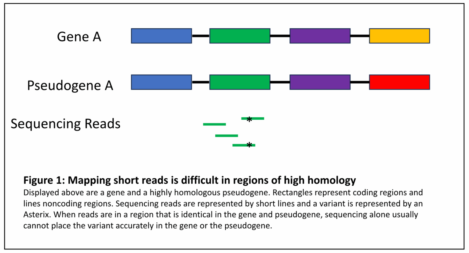Making the Most of Genome Sequencing: The Need for Detection of ...